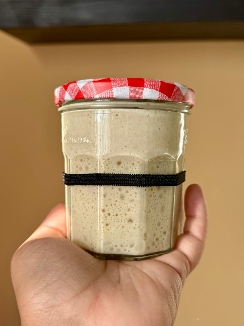 ACTIVE Organic Sourdough Starter – The Blissful Bakehouse